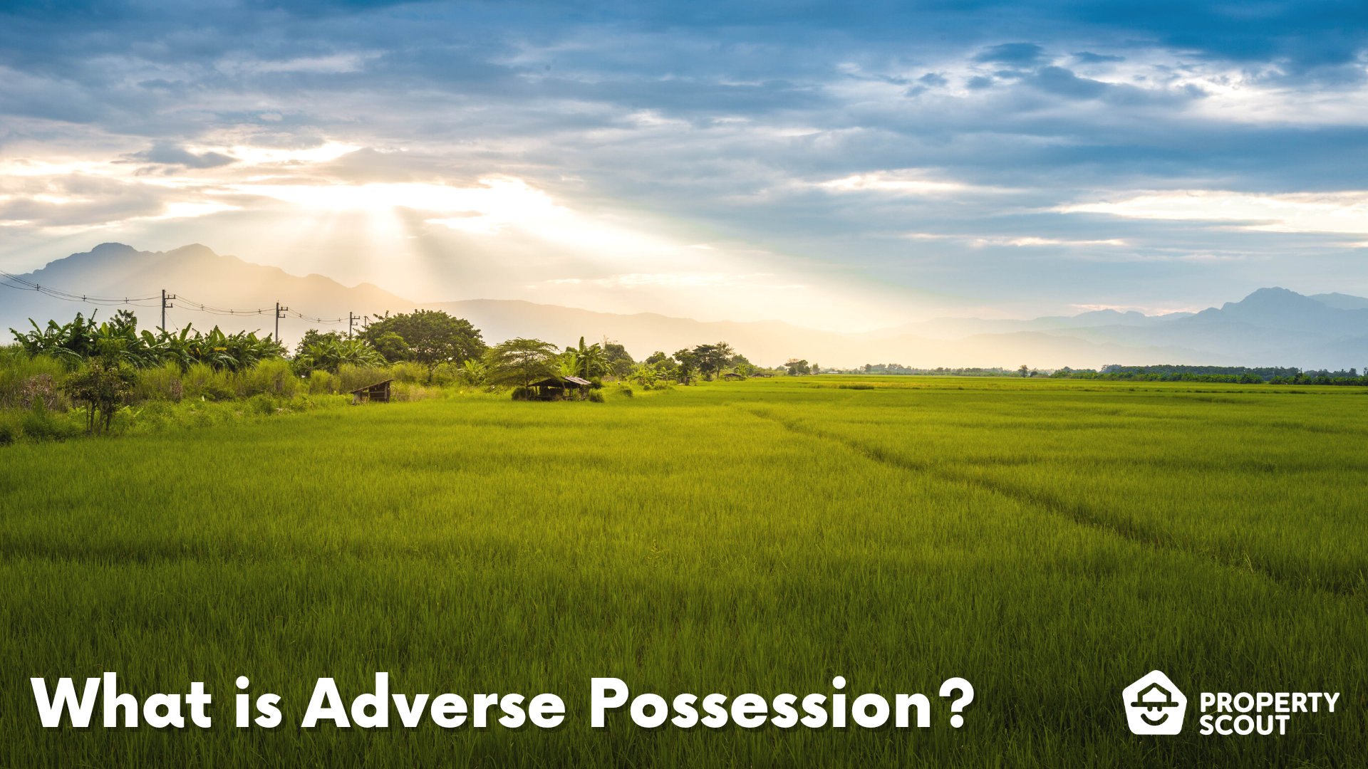 From Ownership to Risk: Introduction to Adverse Possession